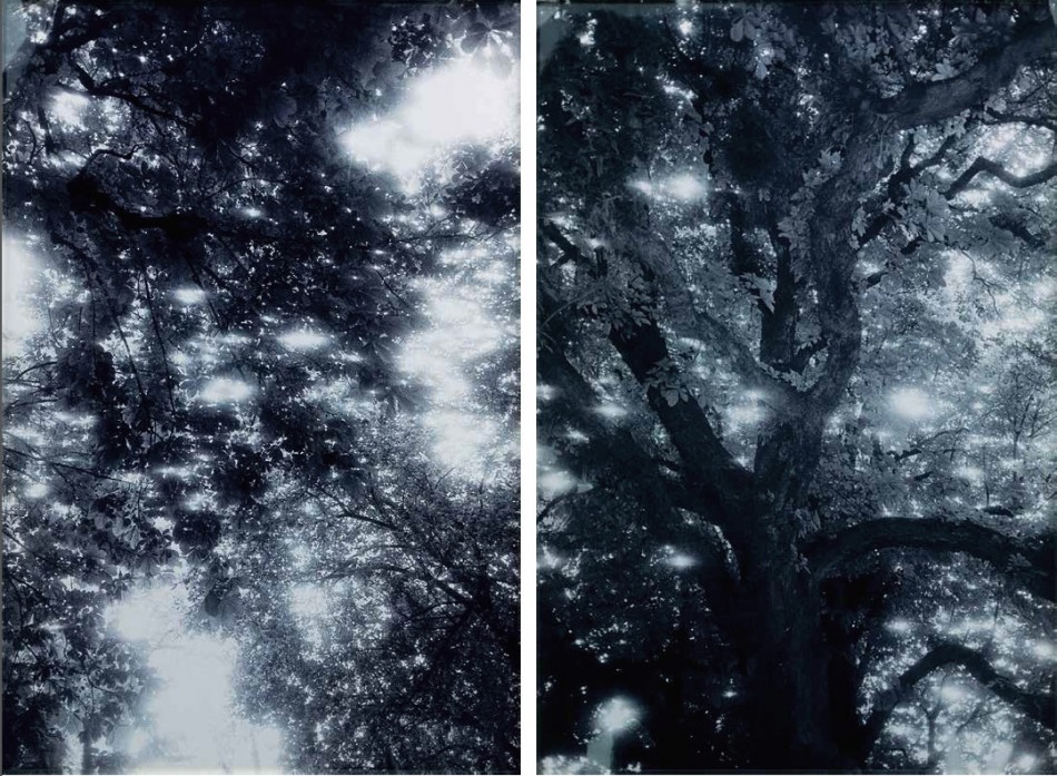 BYRD HOFFMAN WATER MILL FOUNDATION SUMMER BENEFIT - JULY 26 @ THE ...