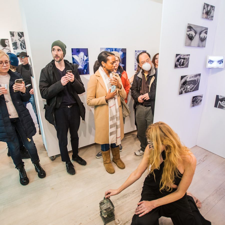 THE LABYRINTH BY INDIRA CESARINE OPENS AT THE UNTITLED SPACE | THE ...