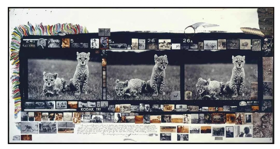 REMEMBERING PHOTOGRAPHER PETER BEARD | THE UNTITLED MAGAZINE