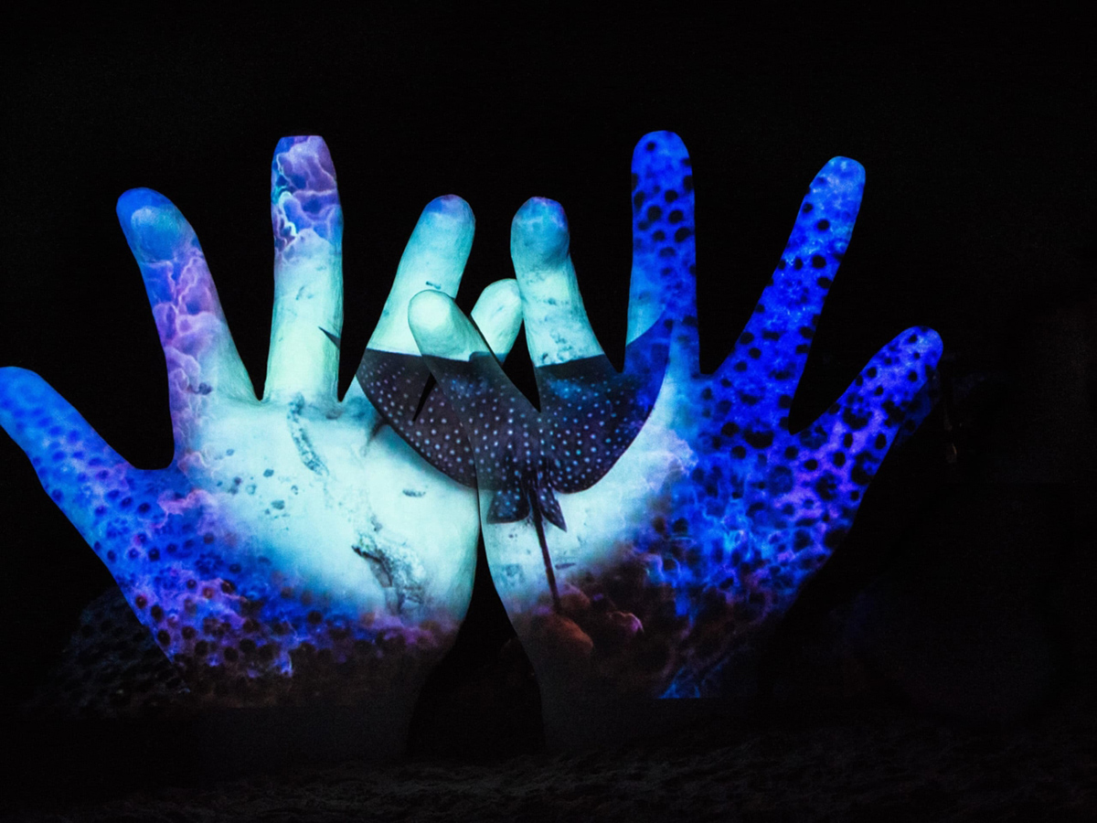 ART WITH ME MIAMI 2022 | THE UNTITLED MAGAZINE