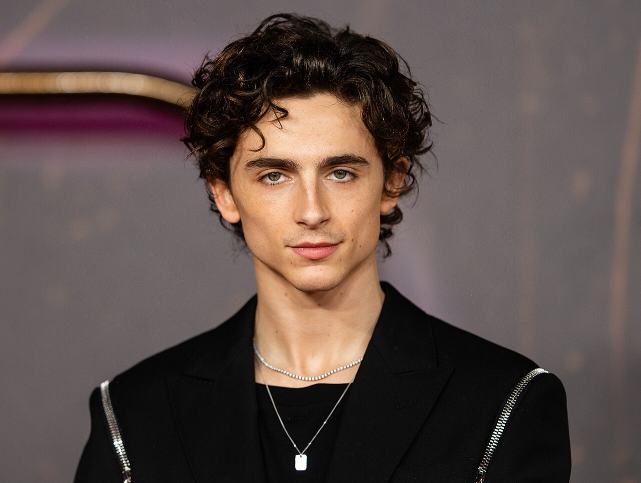 TIMOTHÉE CHALAMET WILL STAR IN NEW BOB DYLAN MOVIE, "A COMPLETE UNKNOWN ...