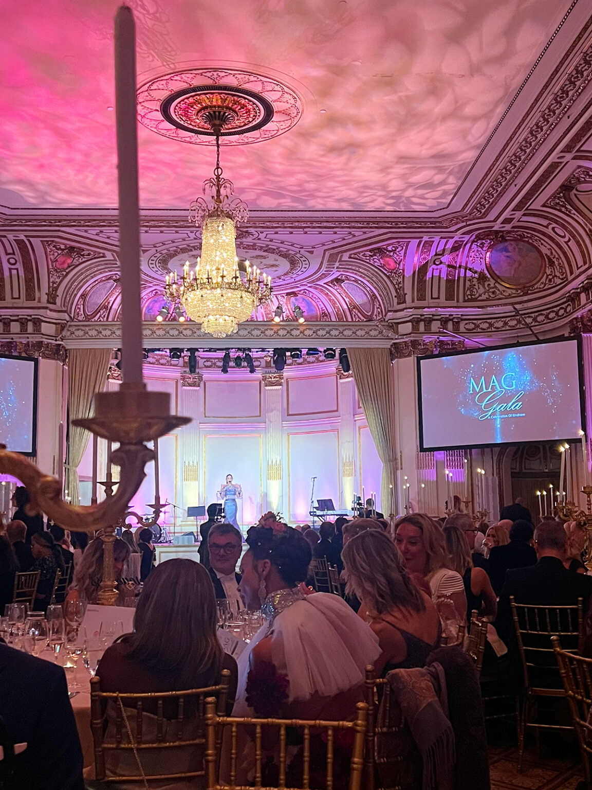CELEBRATING A DECADE OF KINDNESS: THE 10TH ANNIVERSARY MAG GALA ...