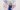 KATIE CERCONE BRINGS “PINK LOTUS” TO THE UNTITLED SPACE’S CELEBRATED ...